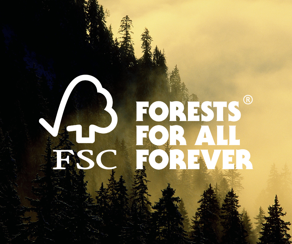 FSC UK Strategic Priorities 2024-2027 | Forest Stewardship Council UK